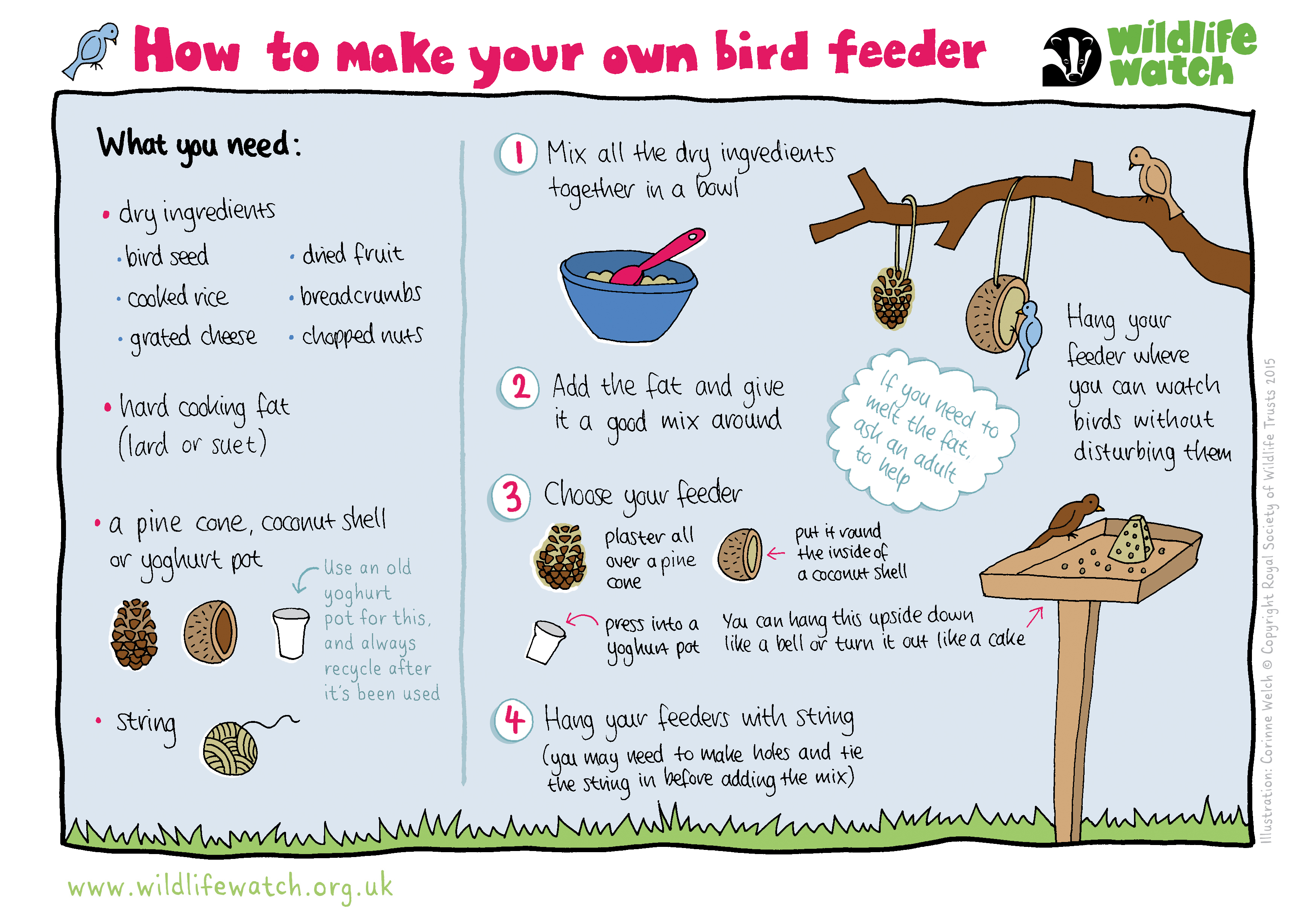How to make your own bird feeder | Norfolk Wildlife Trust