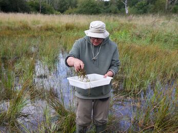 The Lost Ponds: Reinstating Ghost Pingos | Norfolk Wildlife Trust