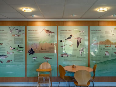 Holme Dunes visitor centre | Norfolk Wildlife Trust
