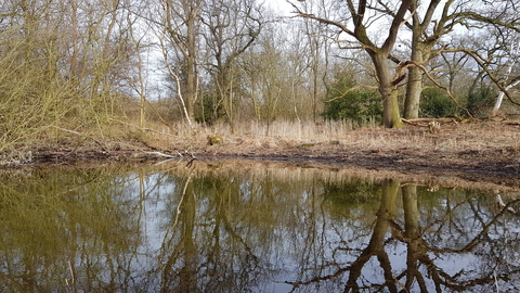 Norfolk Wildlife Trust travels back to the Ice Age to support wildlife ...