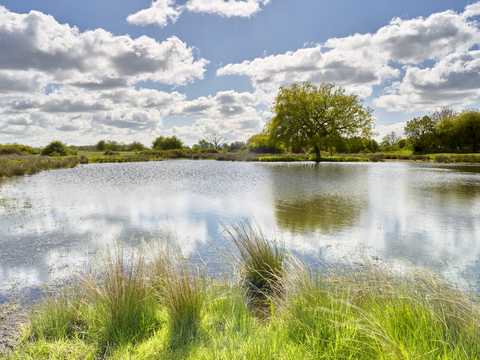 Nature Reserves | Norfolk Wildlife Trust