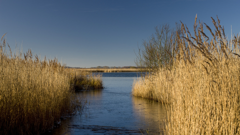 Hickling Broad and Marshes | Norfolk Wildlife Trust