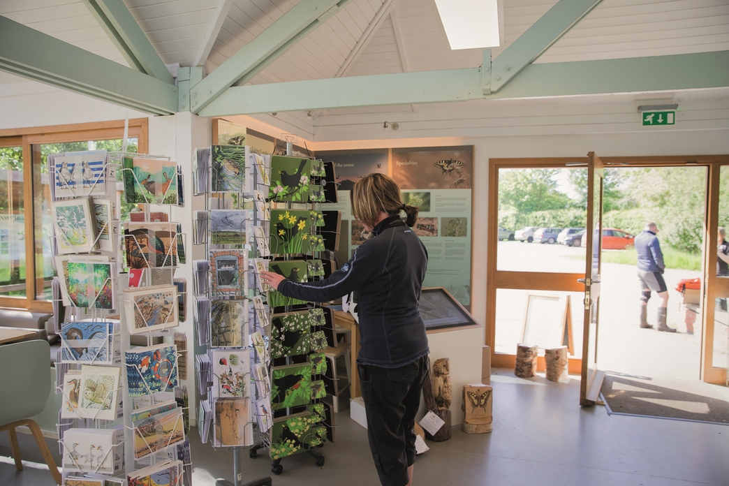 Take a North Norfolk winter wildlife trip for seals, birds and big ...