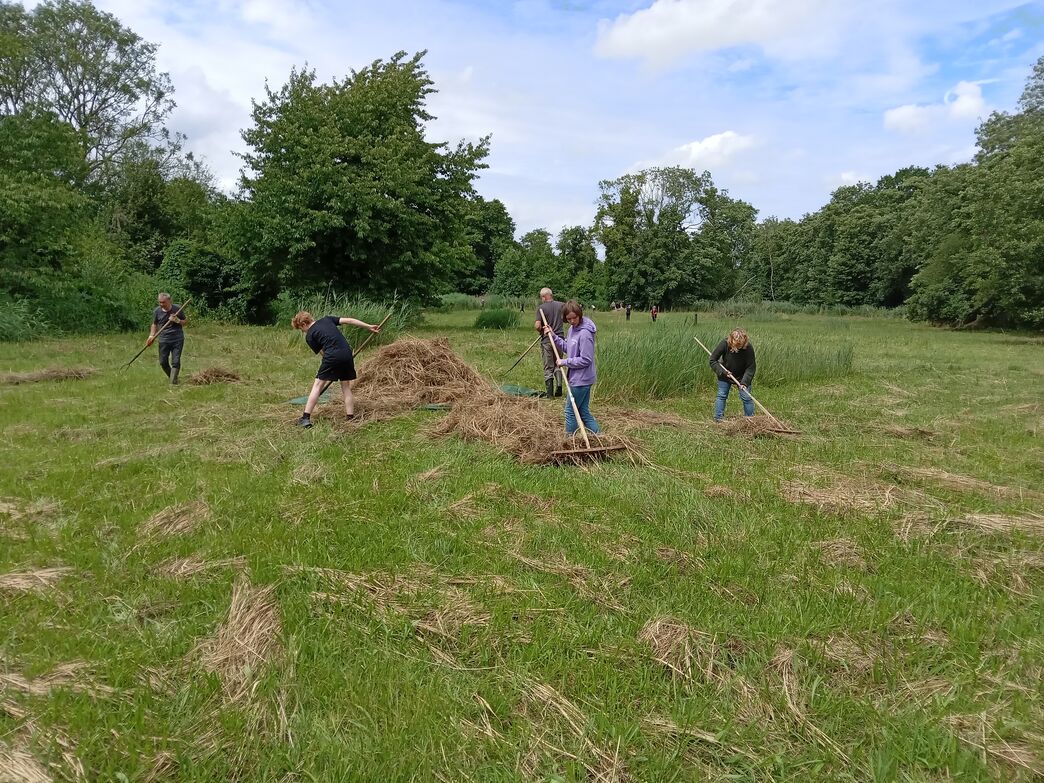 Work experience | Norfolk Wildlife Trust