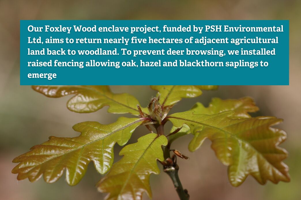 Impact report | Norfolk Wildlife Trust