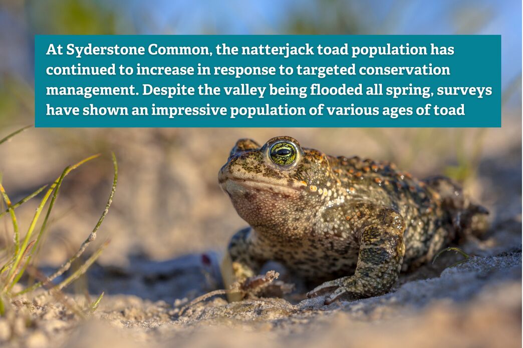 Impact report | Norfolk Wildlife Trust