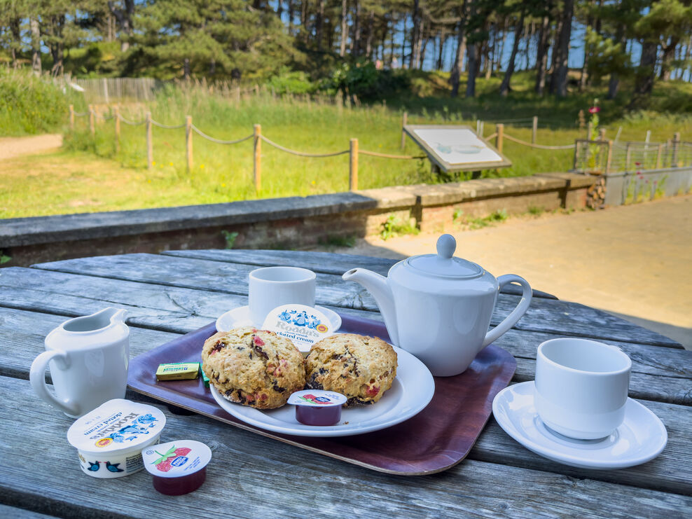 Holme Dunes visitor centre | Norfolk Wildlife Trust