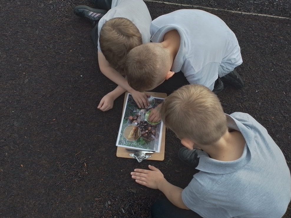 Mile Cross Primary School | Norfolk Wildlife Trust