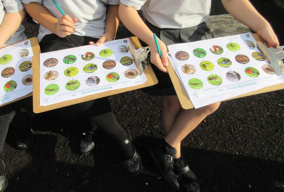 Mile Cross Primary School | Norfolk Wildlife Trust