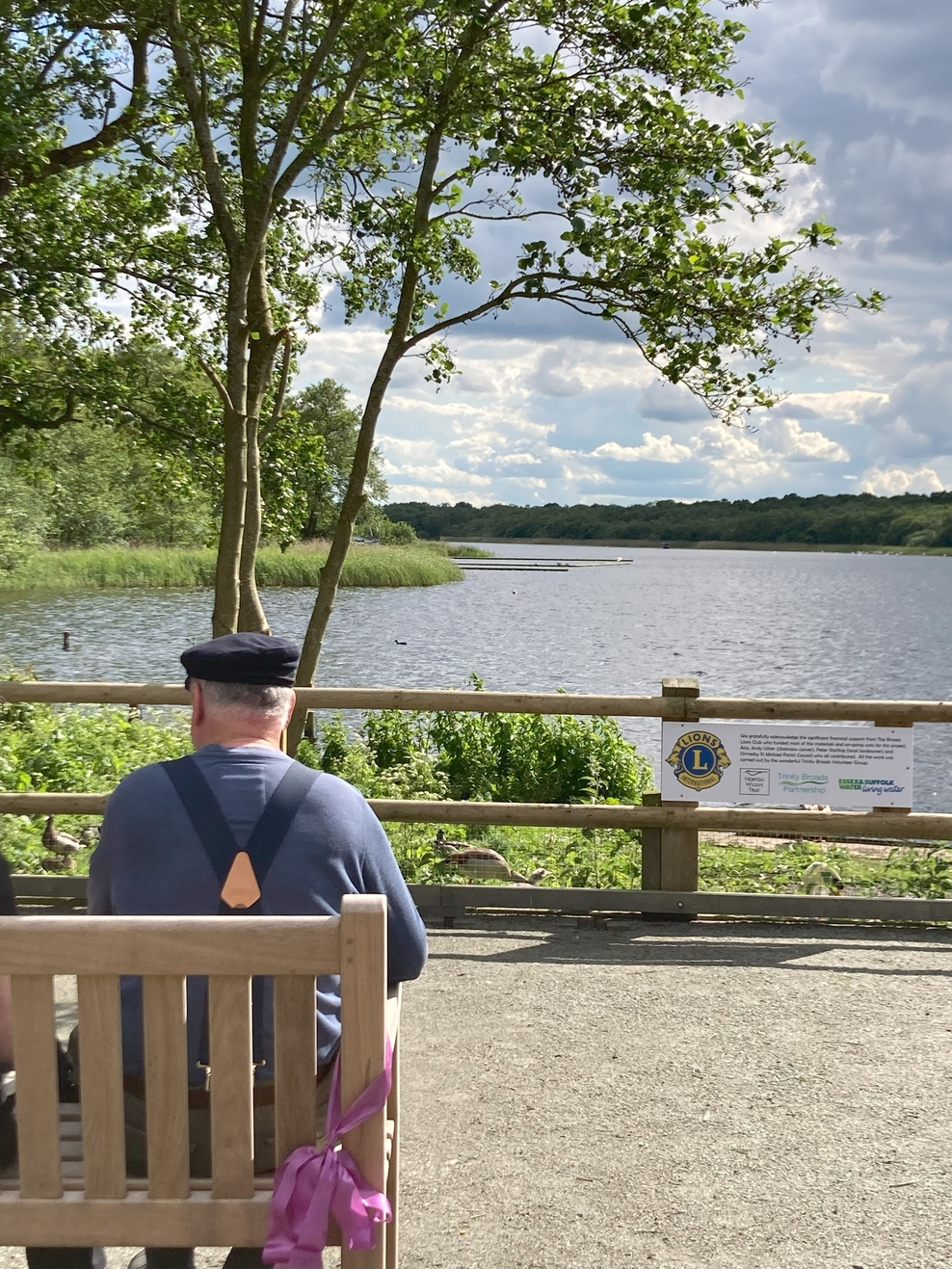 Improvements at well-loved Norfolk nature spot bring a special view to ...