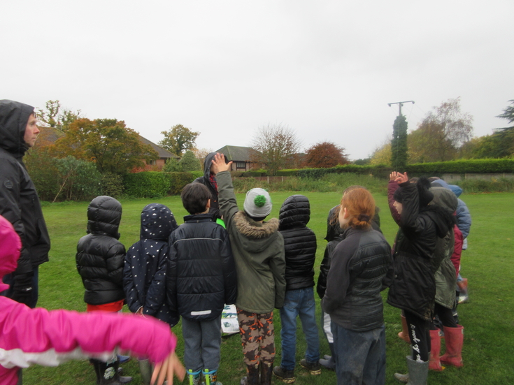 Fairhaven Primary School | Norfolk Wildlife Trust