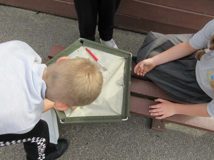 Mile Cross Primary School | Norfolk Wildlife Trust