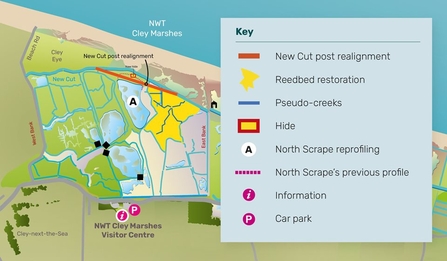 Coastal works to protect Norfolk's wildlife from rising sea | Norfolk ...